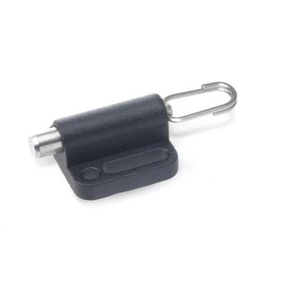 Ganter Norm® - 417-5-D Rastbolzen mit Zugring / mit Zugöse, ohne ...