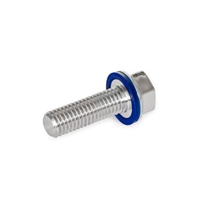 Ganter Norm® - 1581-M16-40-PL-H Edelstahl-Schrauben, Hygienic Design, niedriger Kopf | Toolineo