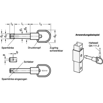 Ganter Norm® - 214.6-8-40 Edelstahl-Steckbolzen, Edelstahl-Schieber ...